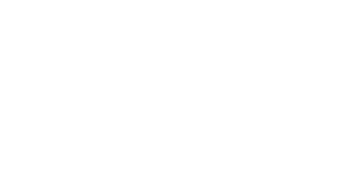 Shelly's Dance and Costume